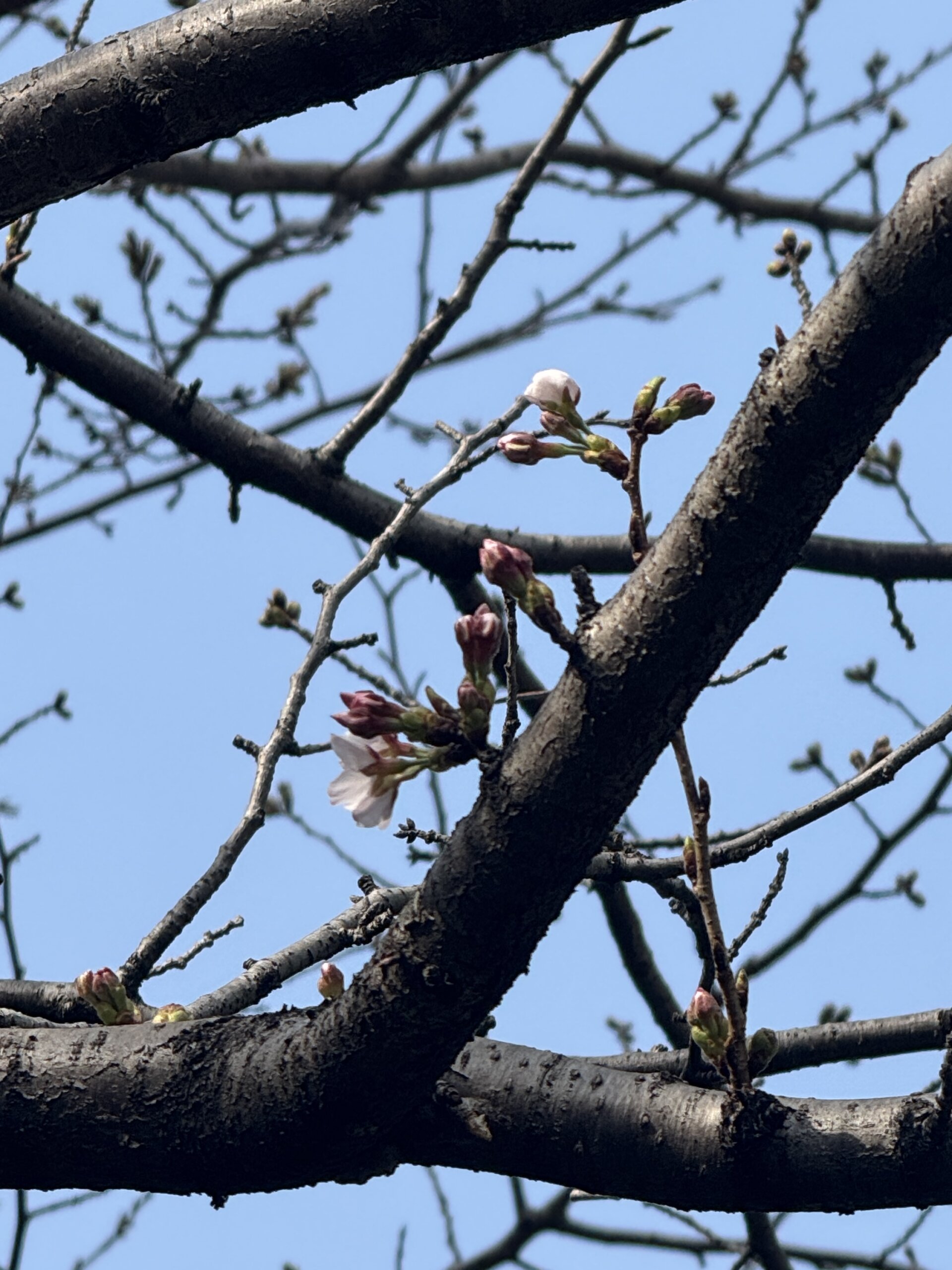 阿部モータース（ABE MOTORS） 公式ウェブサイト